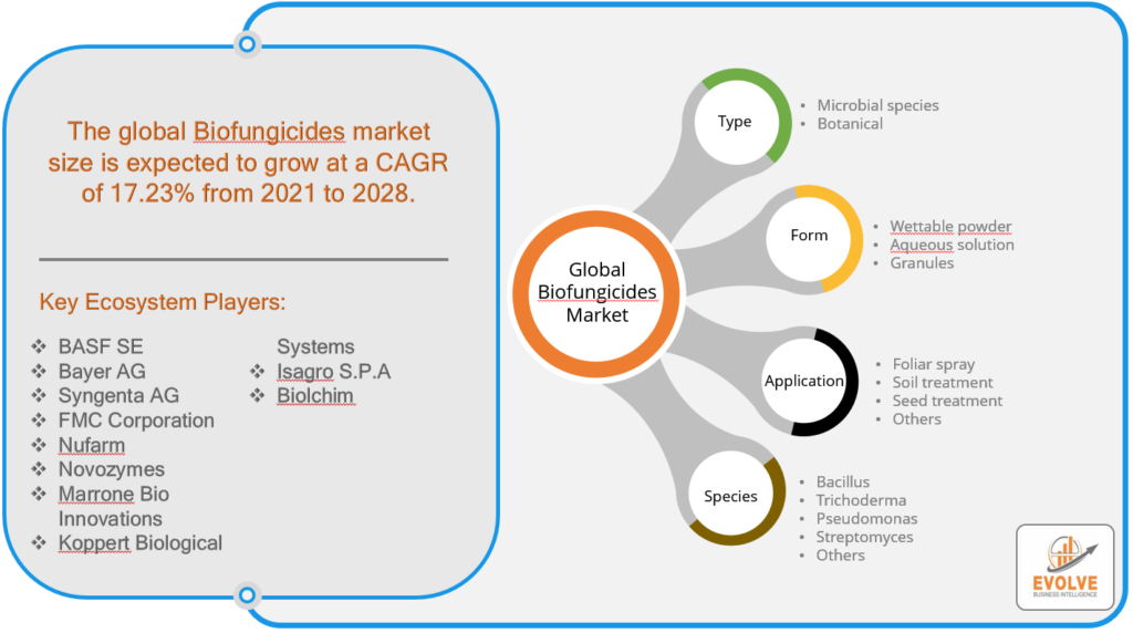 Biofungicides Market Analysis and Forecast 2021-2028 - Evolve Business ...