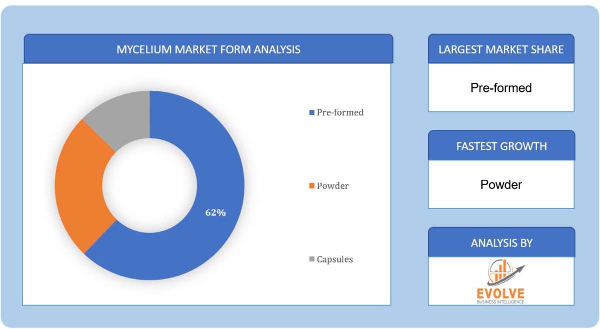 Mycelium Market Forecast to Reach $940 Million by 2033